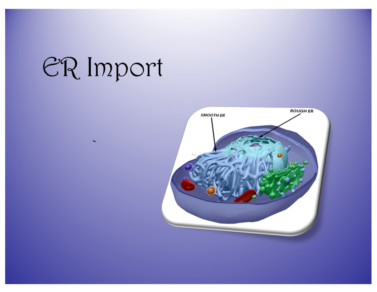 Endoplasmic Reticulum Import - ER Import ER: General Features The ER is composed of a contiguous ...