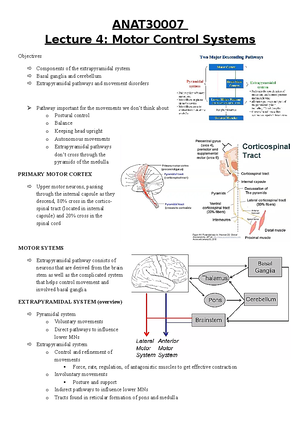 Upper limb table - Upper Limb: Muscle Charts Cheat Sheet (English ...