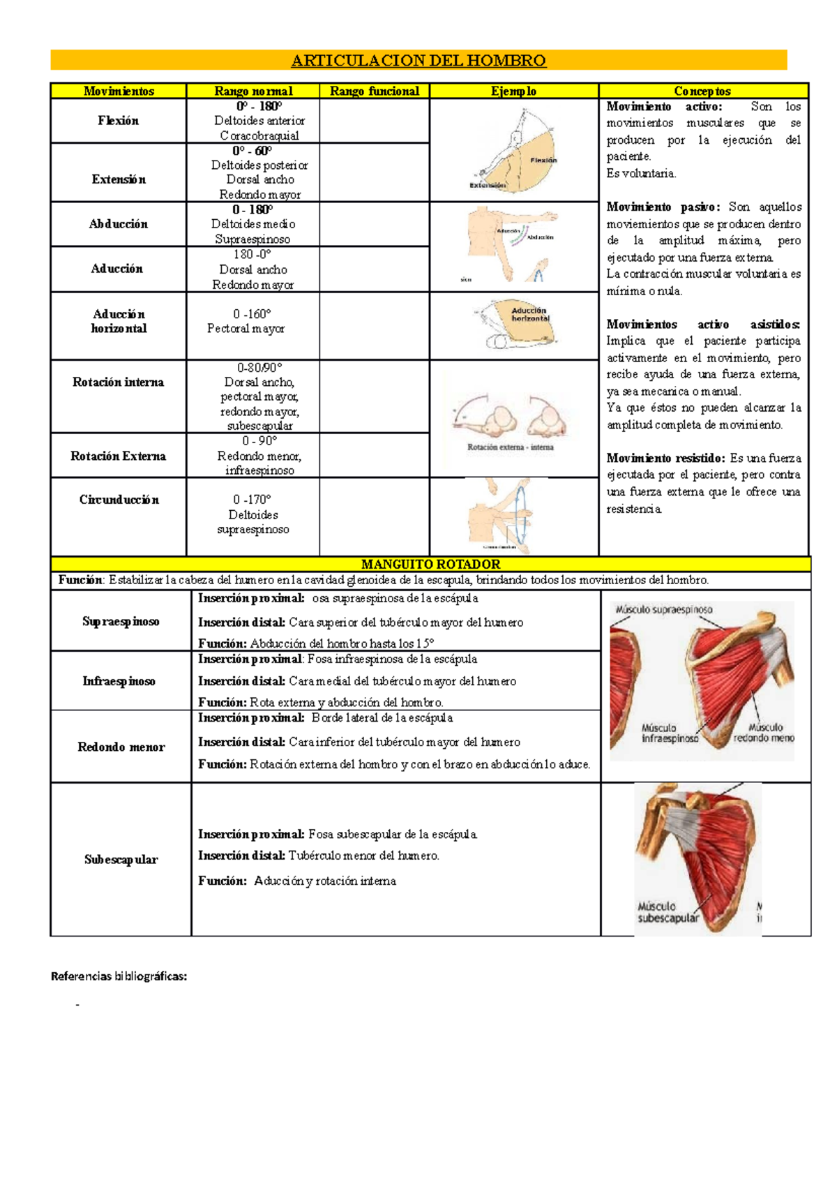 Articulacion del hombro - ARTICULACION DEL HOMBRO Movimientos Rango normal Rango funcional ...