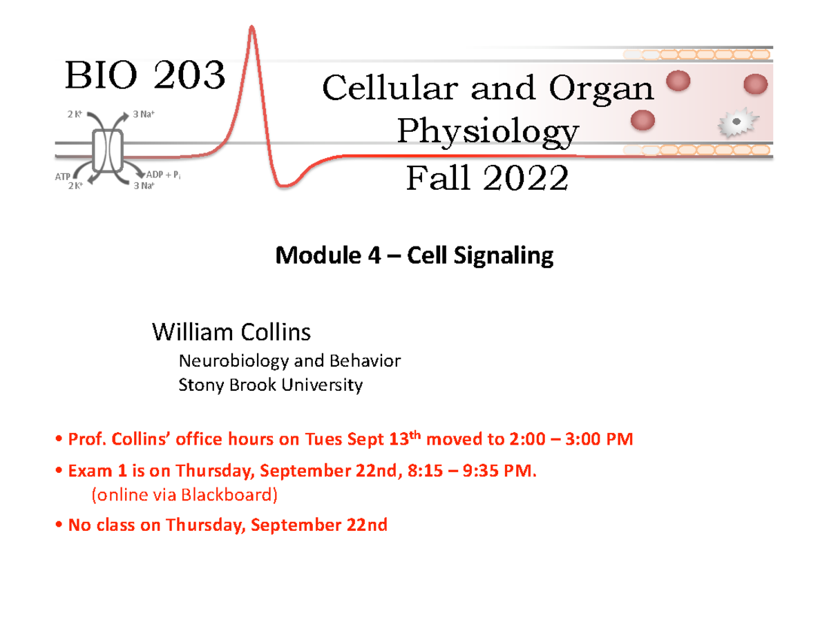 Module 4 - Cellular Signaling (203 F22) post - 2 K+ 3 Na+ ATP ADP + Pi ...