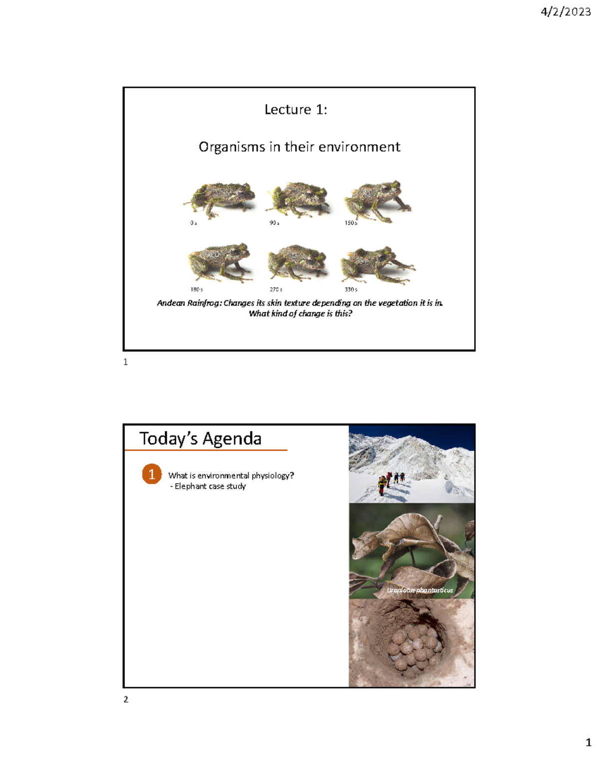 Lecture 1 Elephant Case Study Notes - BIOE-136 - UCSC - Studocu