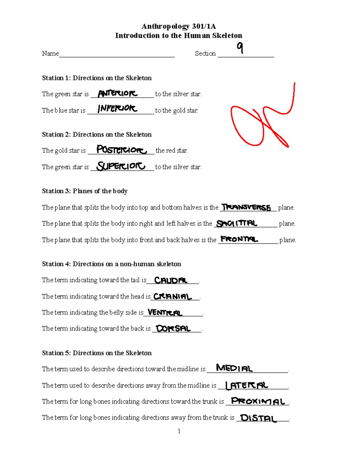 Worksheet One - N/A - 1 Anthropology 301/1A Introduction to the Human ...