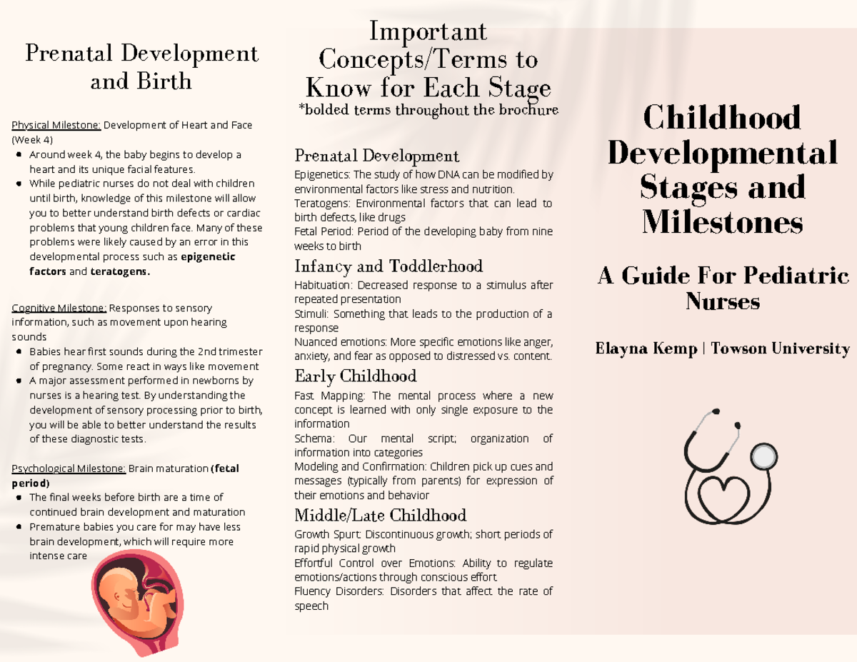 PSYC203Midterm Brochure - Prenatal Development Epigenetics: The study ...