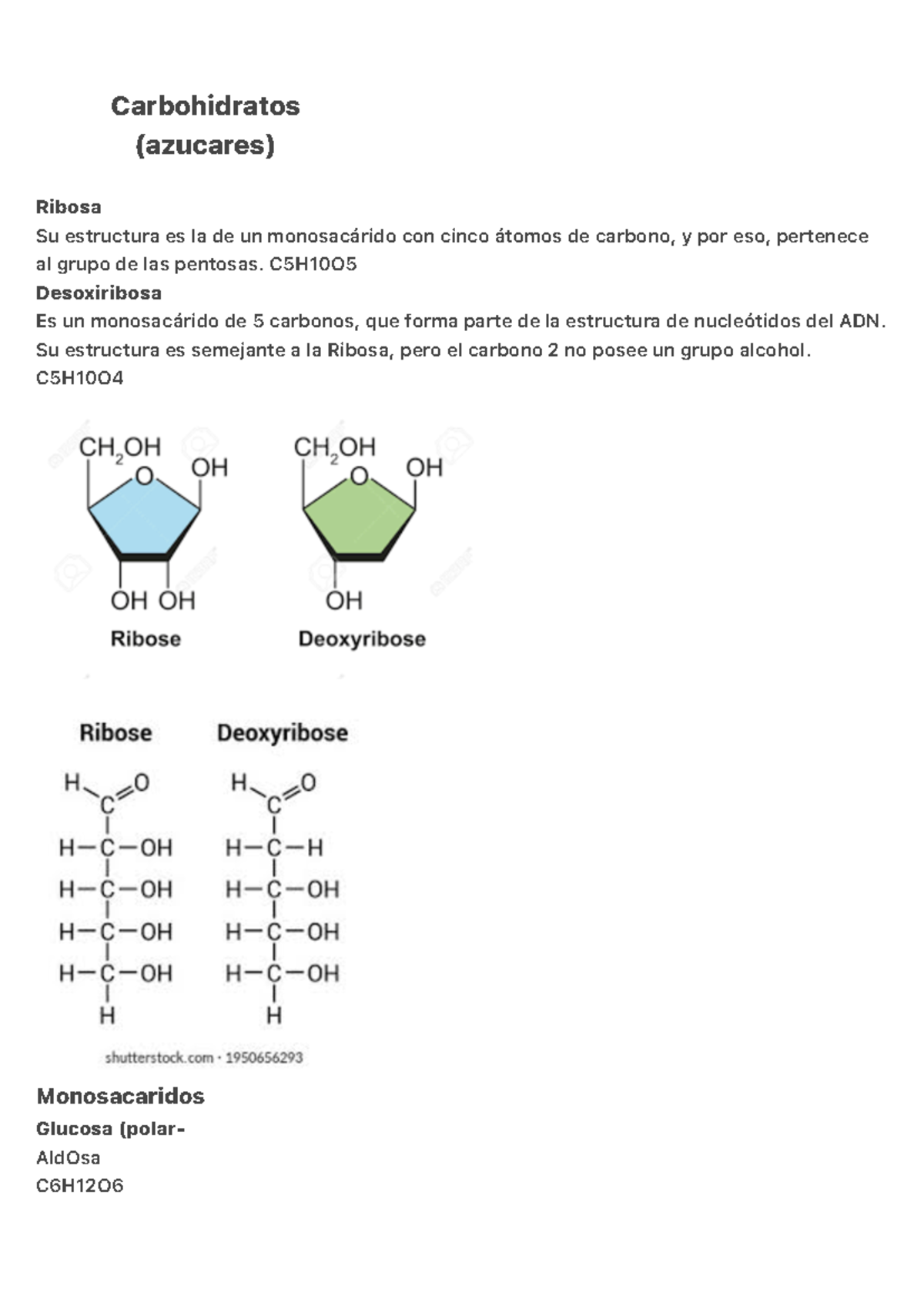 Carbohidratos - Carbohidratos (azucares) Ribosa Su estructura es la de ...