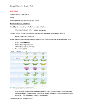 Biology Vocabulary List - Biology Vocabulary List Biology: Study of all ...