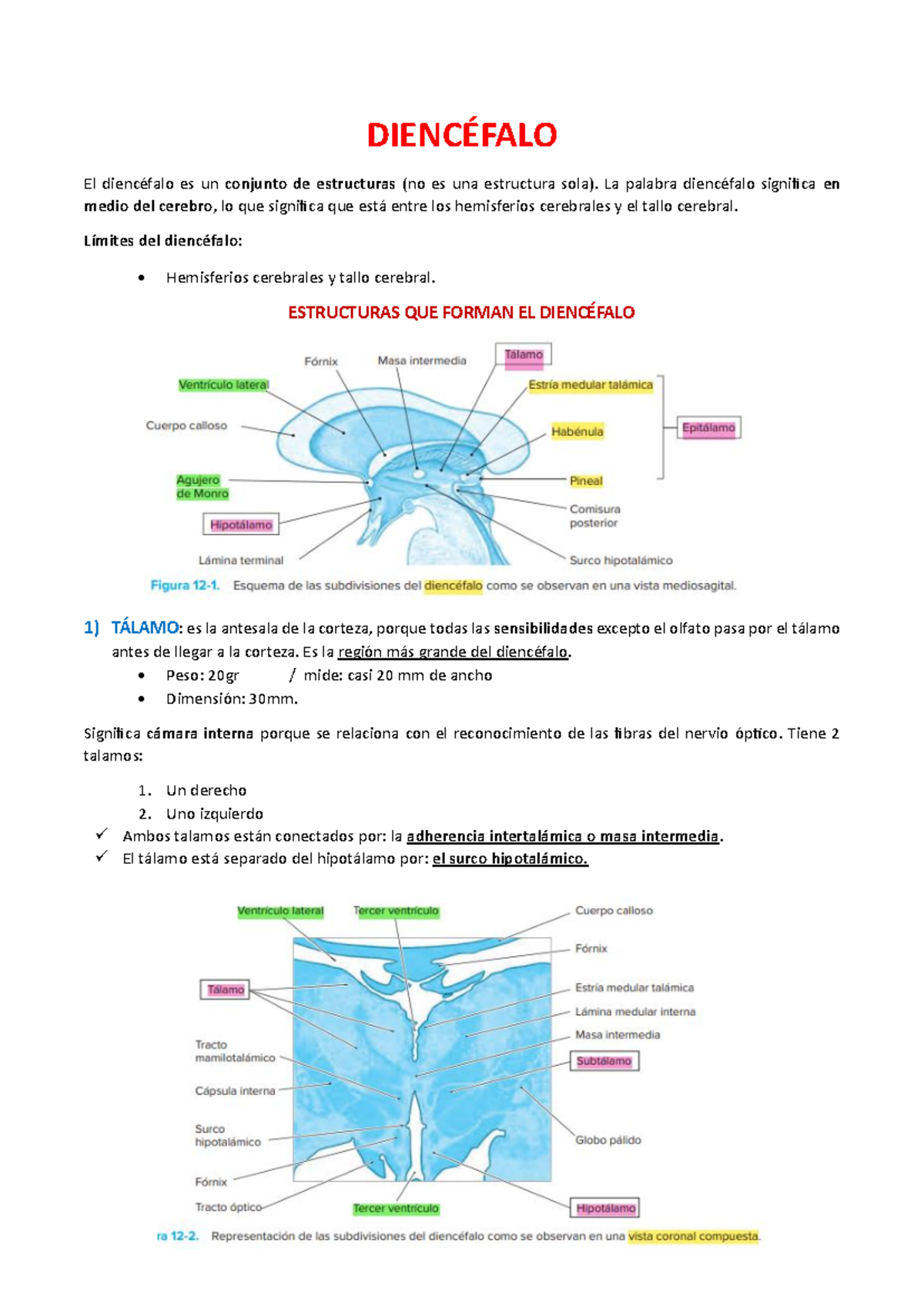 Repaso 2DO P Neuro - DIENCÉFALO El diencéfalo es un conjunto de ...