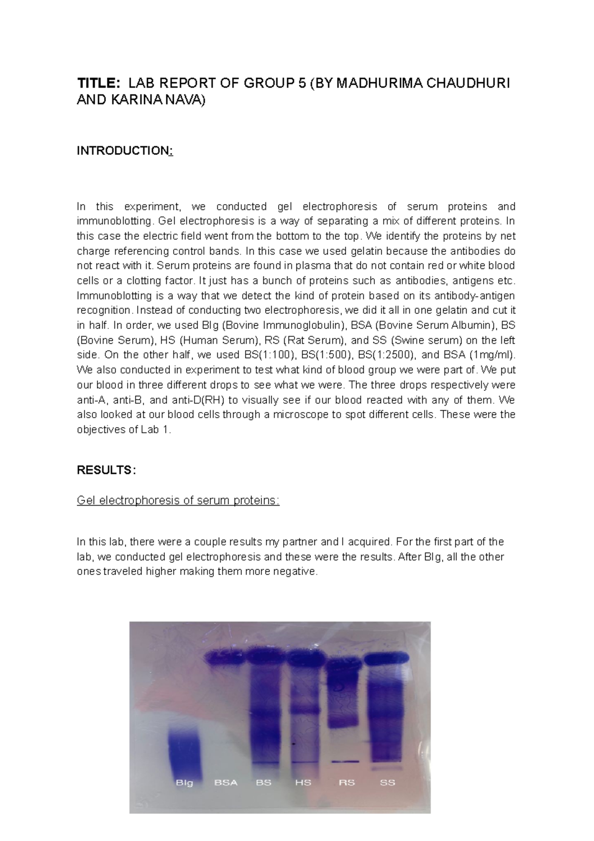 LUND LAB Report - Useful - TITLE: LAB REPORT OF GROUP 5 (BY MADHURIMA ...