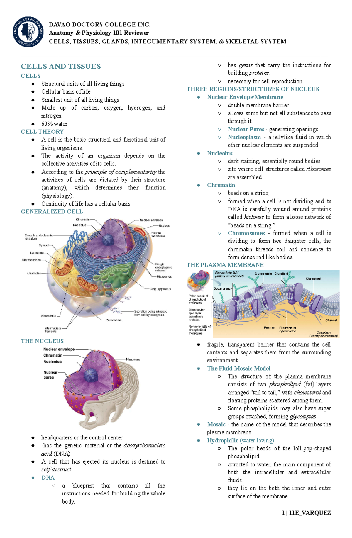 11E Varquez Lyssakate TASK9 - Anatomy & Physiology 101 Reviewer CELLS ...