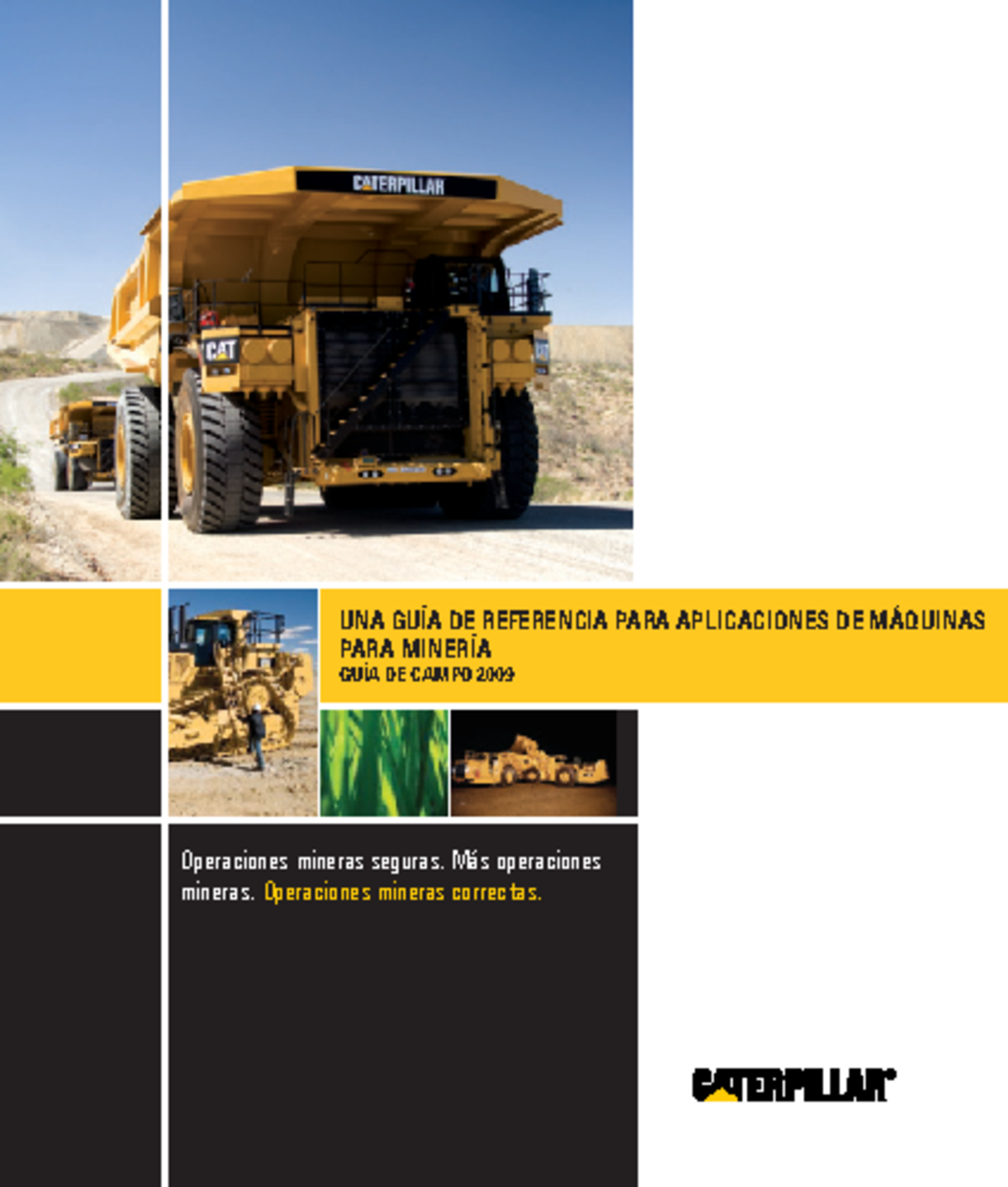 Fgfdg - datos de resumen realizados - UNA GUÍA DE REFERENCIA PARA ...