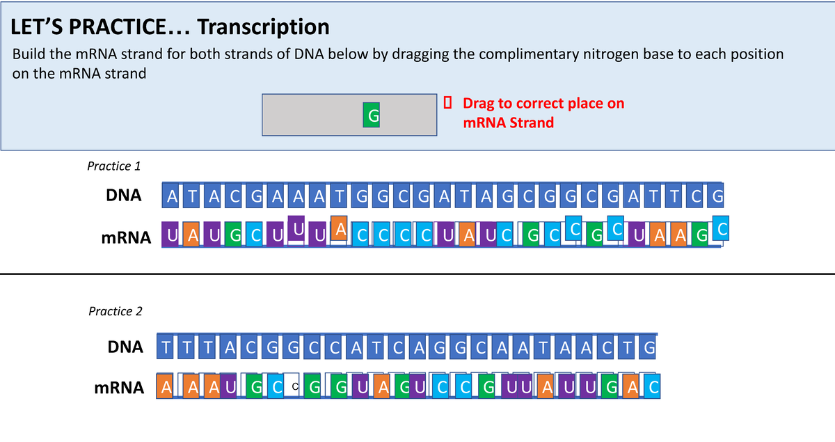 Copy of Student - Transcription Drag and Drop - LET’S PRACTICE ...