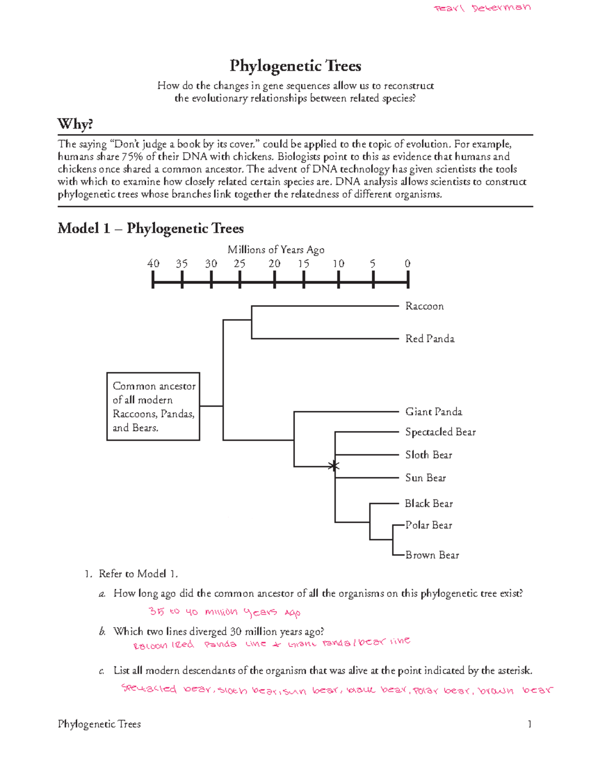 22 Phylogenetic Trees-S - Phylogenetic Trees 1 Phylogenetic Trees How ...
