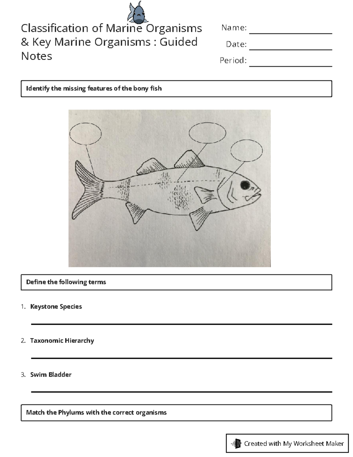 Classification of Marine Organisms & Key Marine Organisms Guided Notes ...