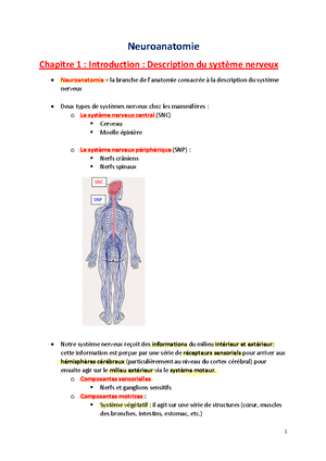 Notes de cours, cours 1 - tableau de recap des 12 nerfs craniens - Les ...