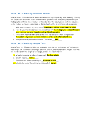 AHP106 Wk1 Assignment Answer Keys - Microbiology Basics Go Figure ...