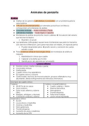 Diagnostico y tratamiento de las mordeduras de serpientes venenosas ...