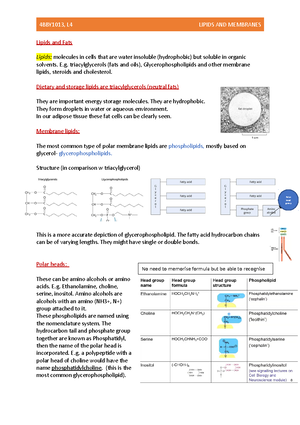 Lecture 3 biochemistry. Energy considerations in biochemistry ...