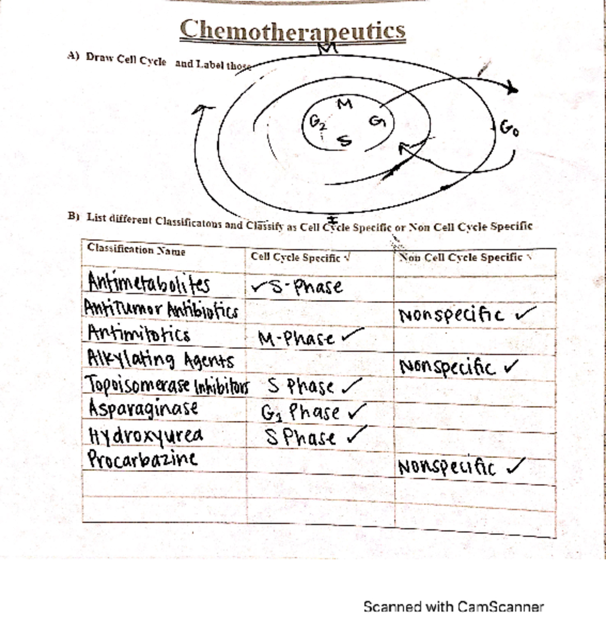 N180 Chemo worksheets - N180 - Studocu