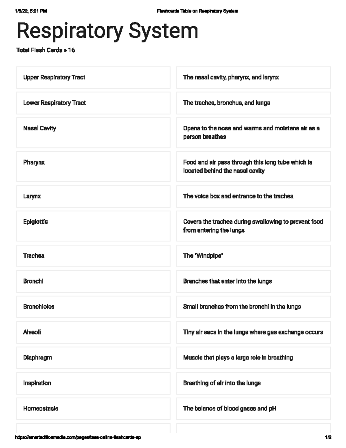 Respiratory System FlashCards - BIO 2451 - Studocu