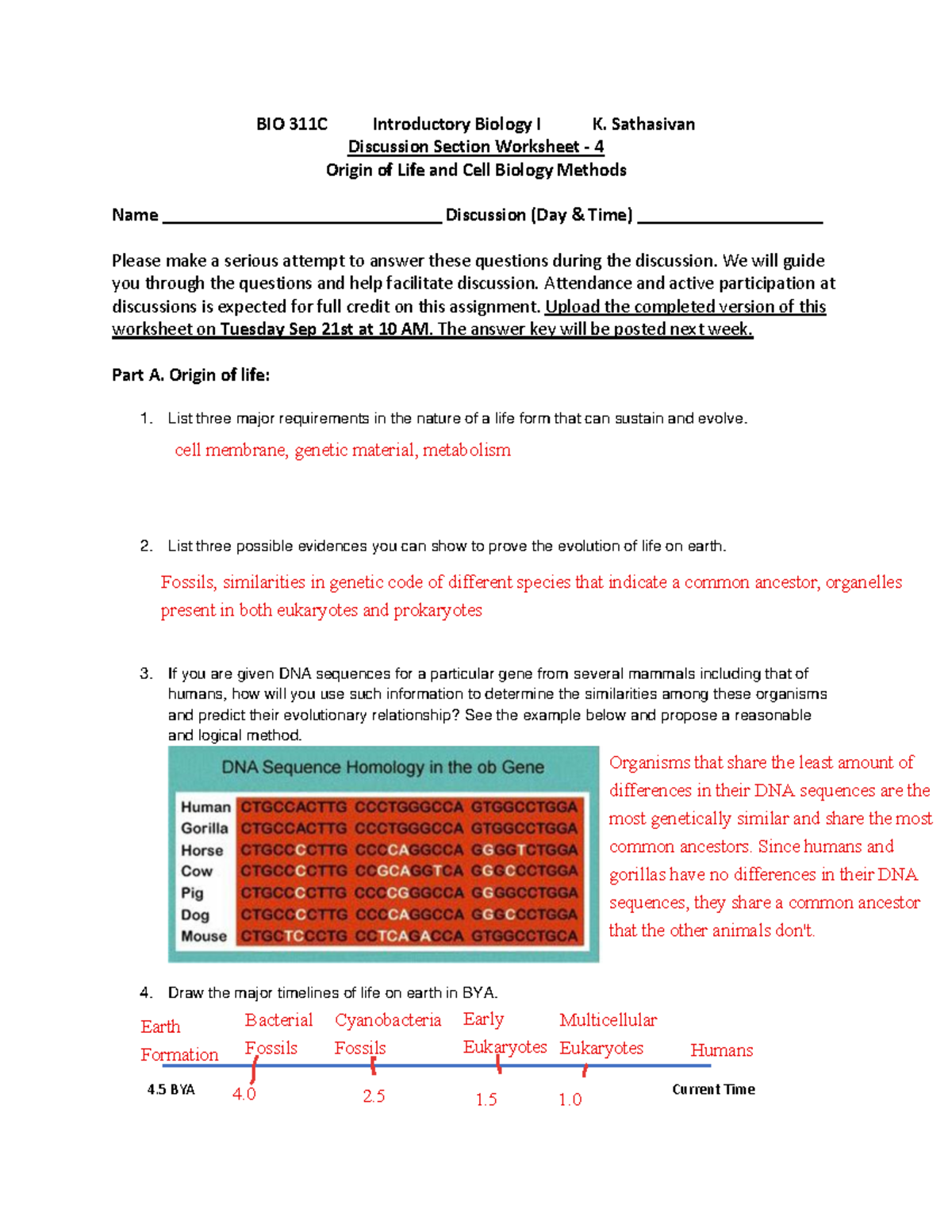 Discussion Worksheet 4 - BIO 311C Introductory Biology I K. Sathasivan ...