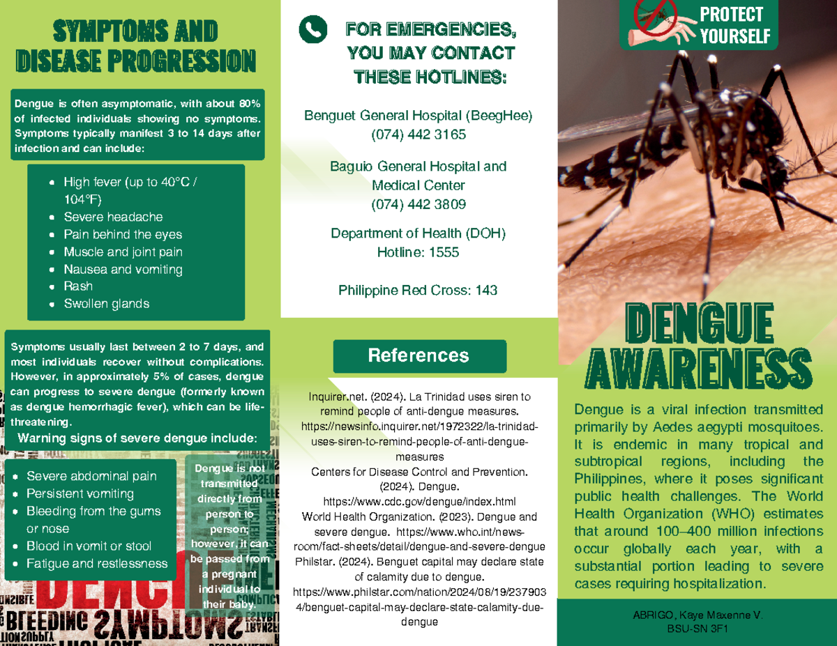 Pamphlet Dengue - DENGUEDENGUE AWARENESS AWARENESS PROTECT YOURSELF ...