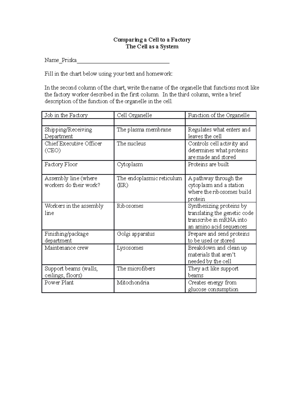 Comparing a Cell to a Factory Assessment-2 - Comparing a Cell to a ...