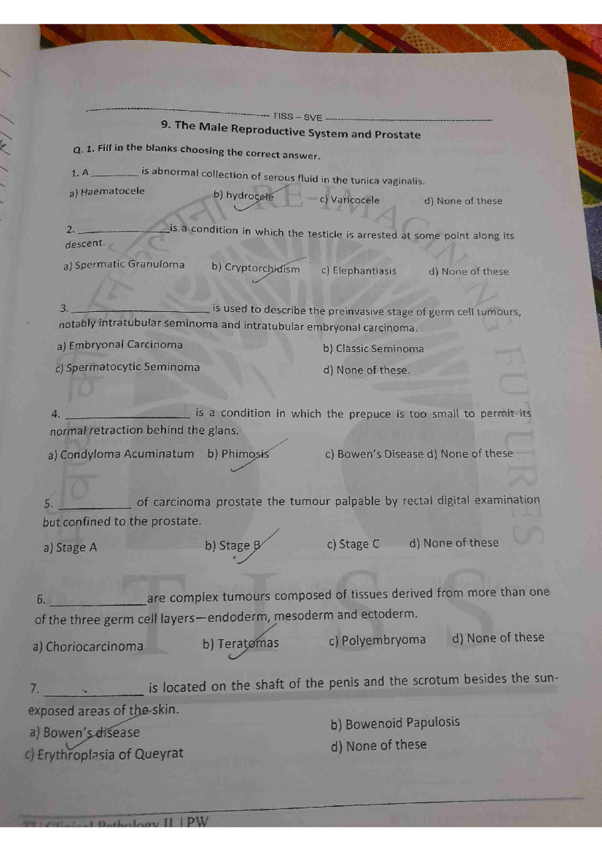 The male reproductive system and prostate - Plus two biology - Studocu