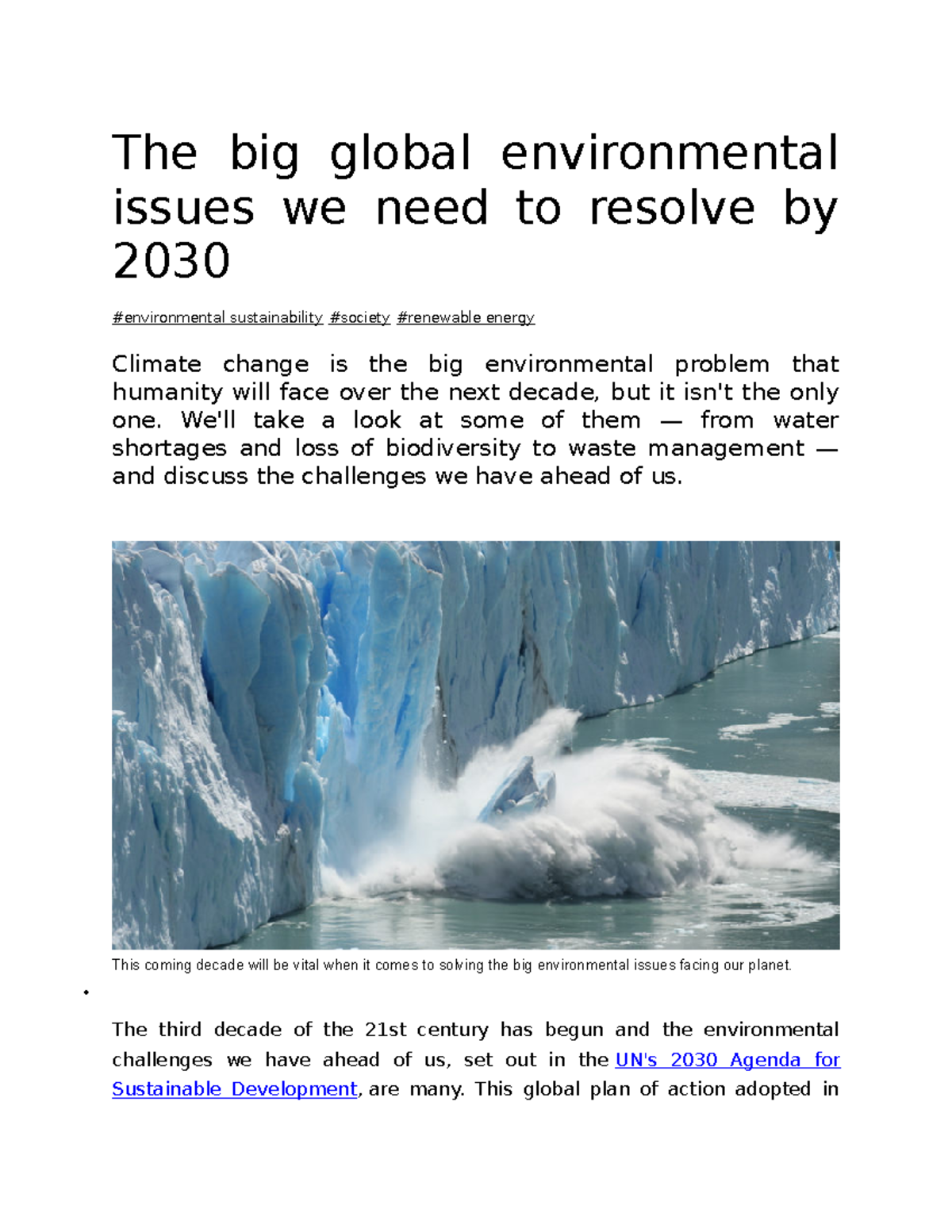 Environmental Issues sample - The big global environmental issues we ...