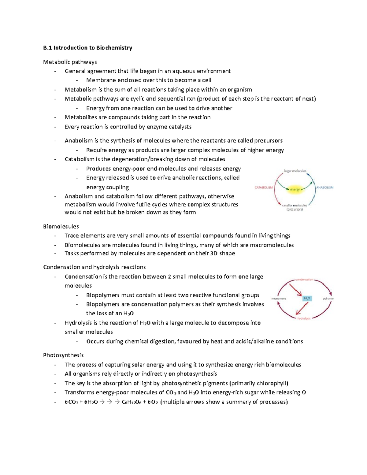 Biochemistry Notes - B Introduction to Biochemistry Metabolic pathways ...