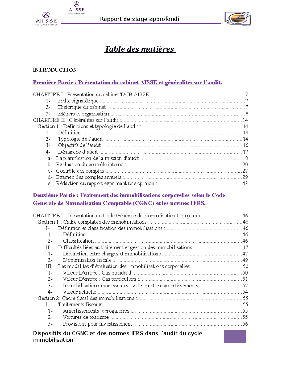 Rapport de stage - cabinet d'audit Aisse - Table des matières ...