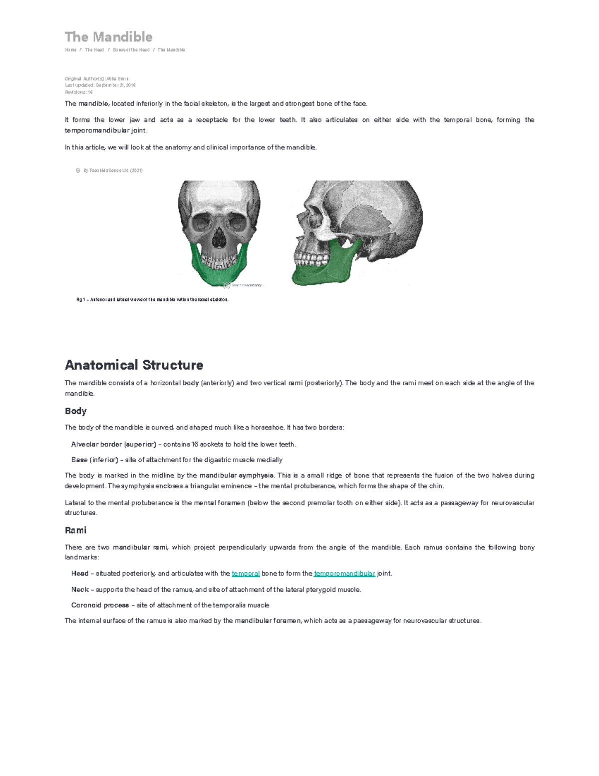 The Mandible - Structure - Attachments - Fractures - Teach Me Anatomy ...