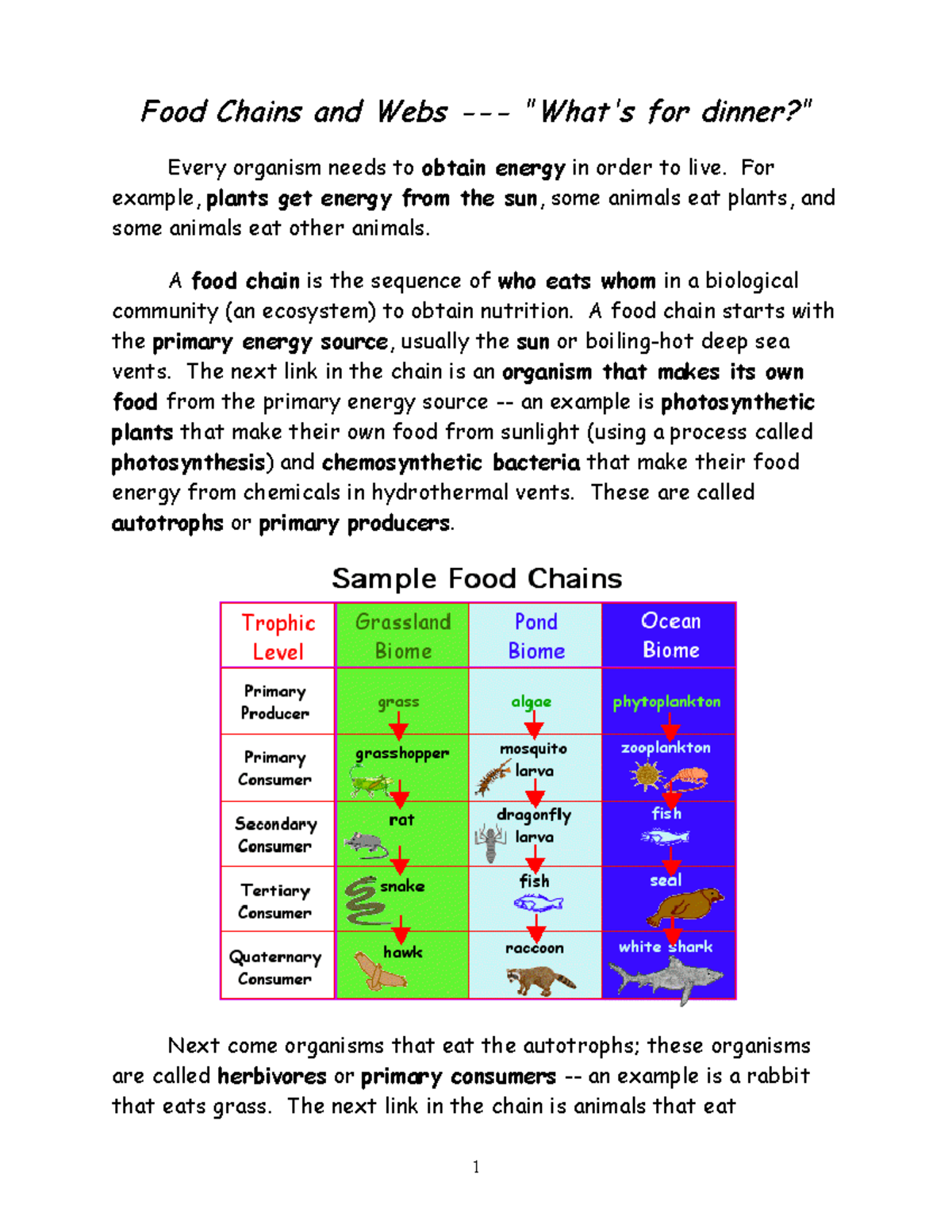 Food Chains and Webs - Used to study trophic levels within an ecosystem ...