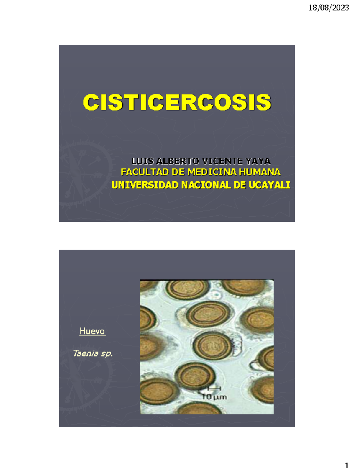Cisticercosis - CISTICERCOSIS LUIS ALBERTO VICENTE YAYA FACULTAD DE ...