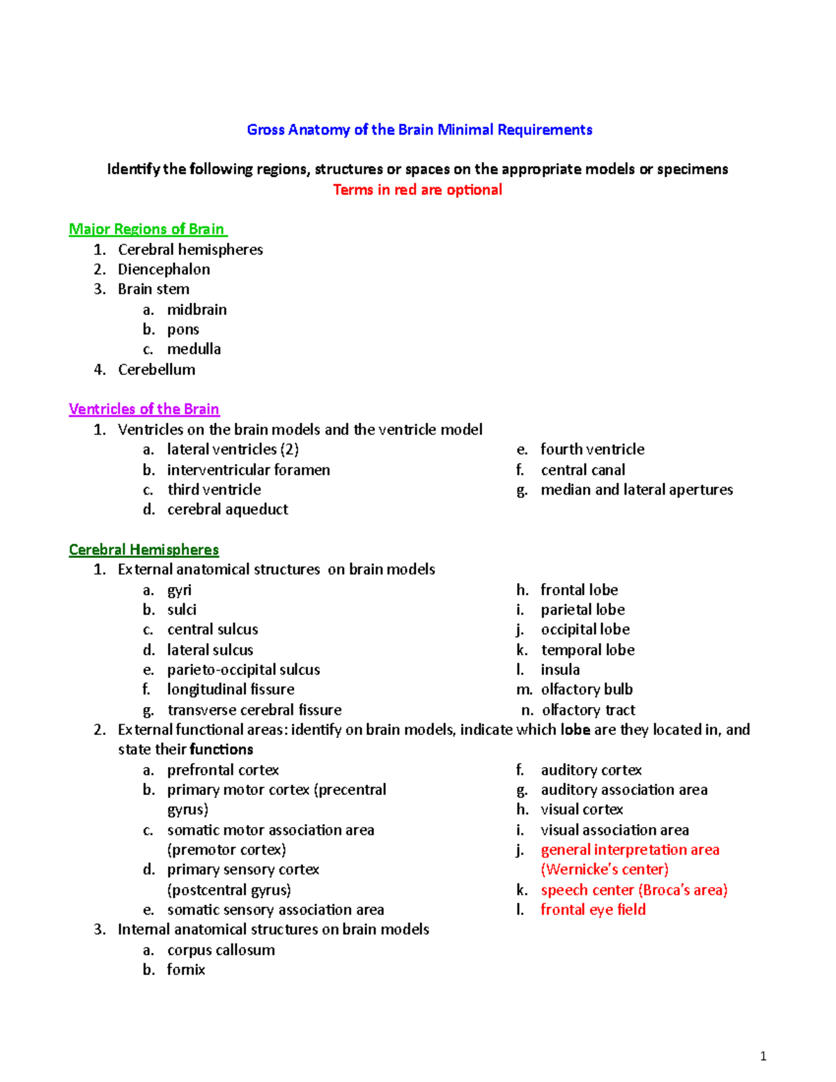 Gross Anatomy of the Brain Minimal Requirements - Cerebral hemispheres ...