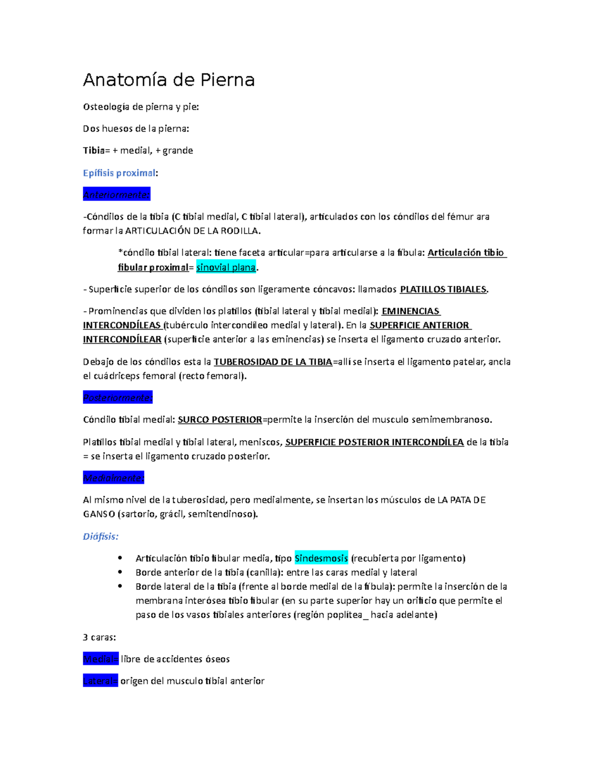 Anatomía de Pierna y pie- Anfiteatro EAT - Anatomía de Pierna ...