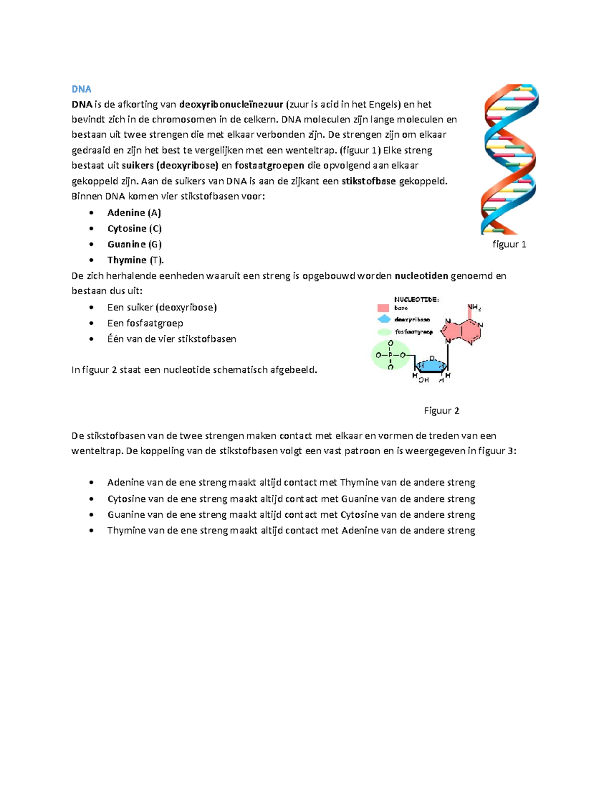 Kinesiologie Oncologie DNA - DNA DNA is de afkorting van (zuur is acid ...