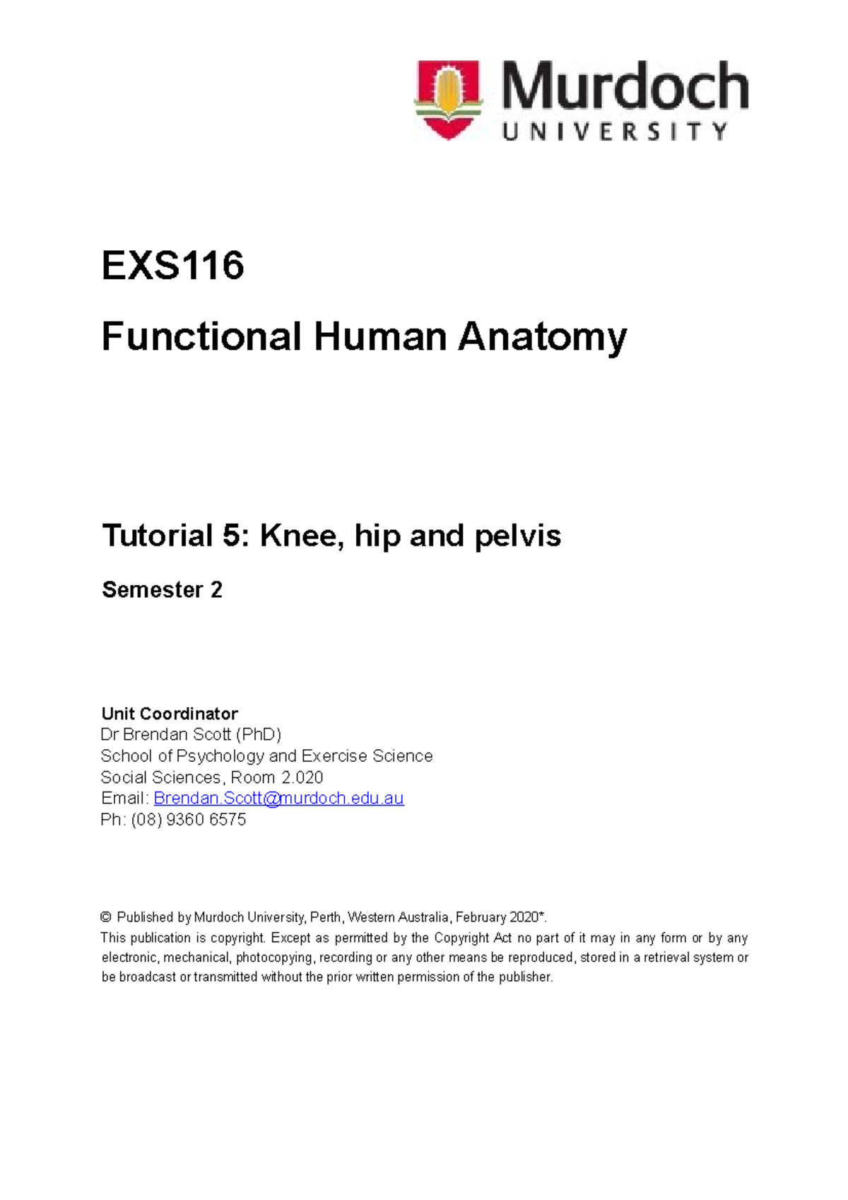 Tutorial 5 - Knee, hip and pelvis - EXS Functional Human Anatomy ...