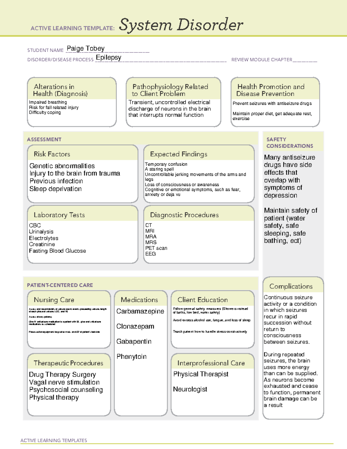 System disorder template epilepsy - ACTIVE LEARNING TEMPLATES System ...