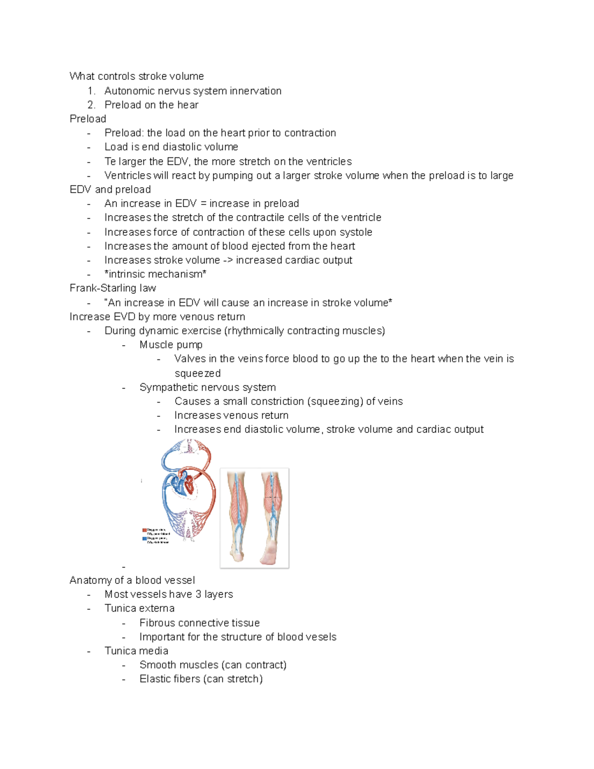 Cardiovascular physiology Lecture 4 - What controls stroke volume 1 ...