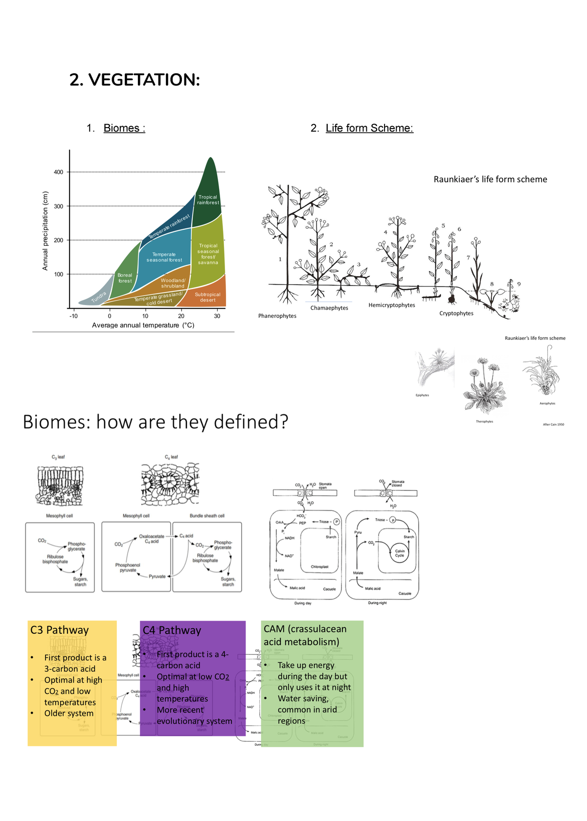EGS diagrams - 2. VEGETATION: 1. Biomes : 2. L ife form Scheme: 2. G ...