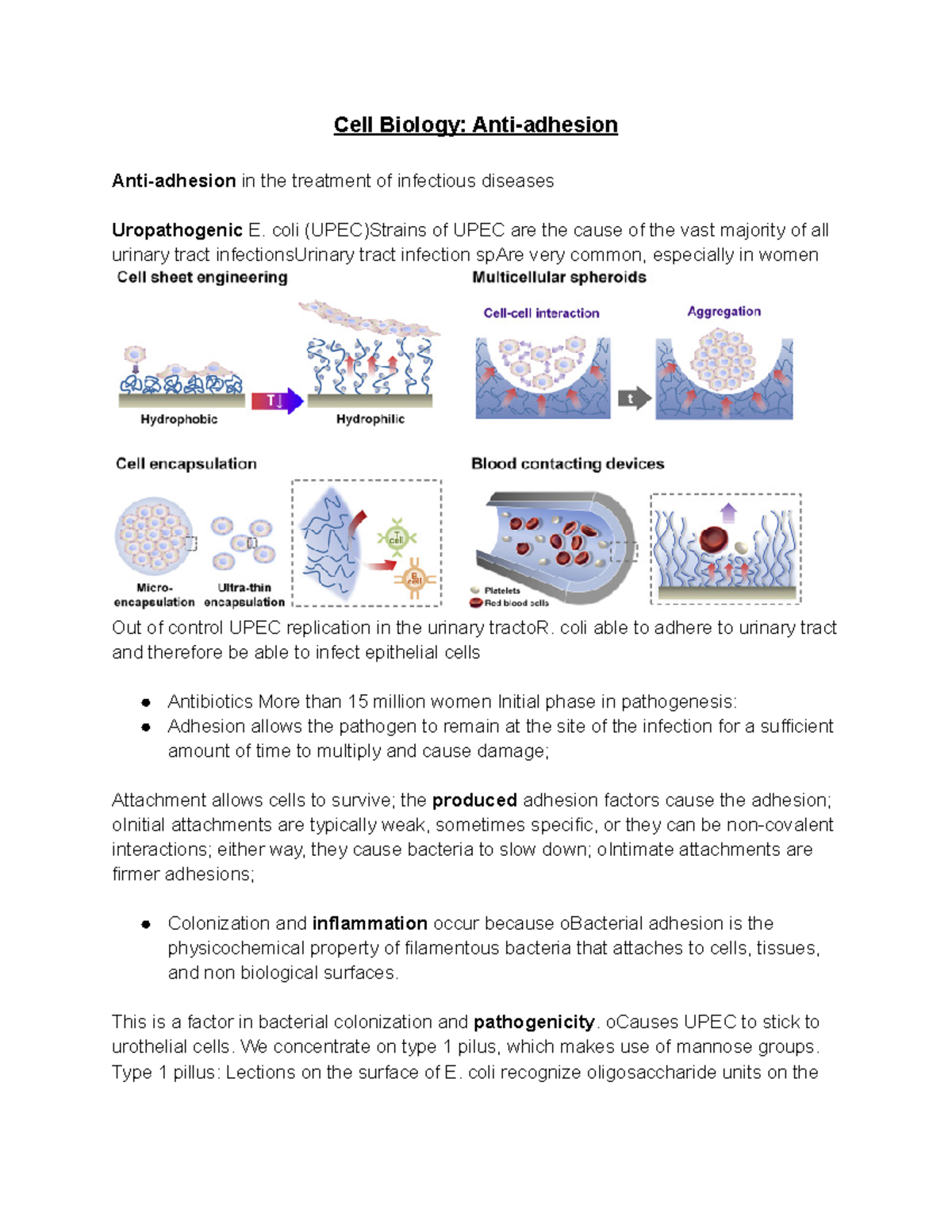 Cell Biology Anti-adhesion - Cell Biology: Anti-adhesion Anti-adhesion ...