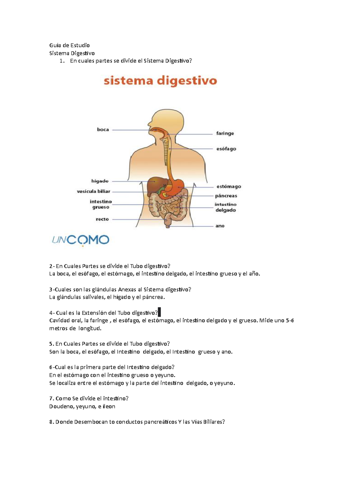 Repaso del último examen - Guía de EstudioSistema Digestivo 1. En ...