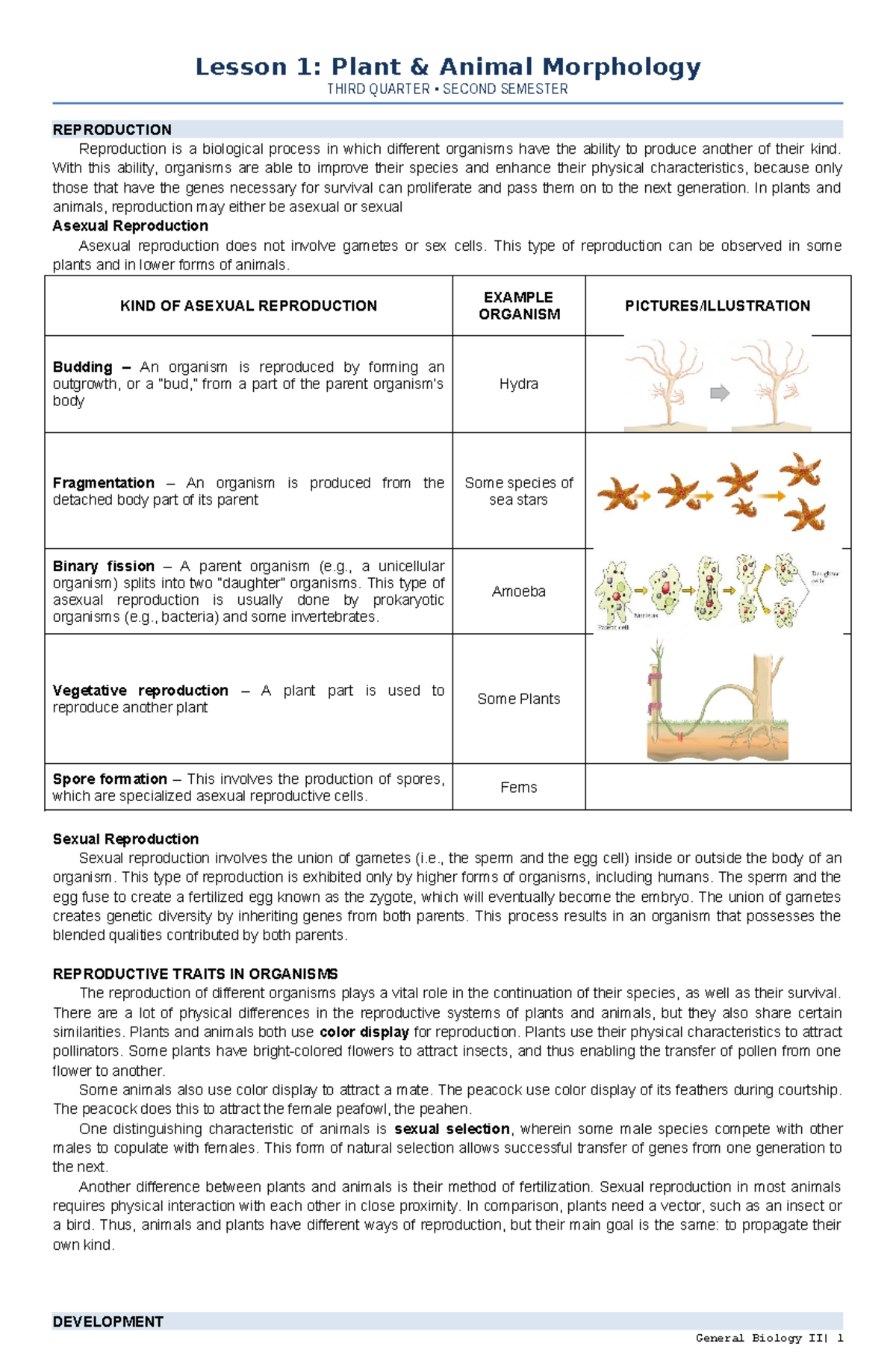 3Q-1-2 - Short Reviewer - Lesson 1: Plant & Animal Morphology THIRD ...