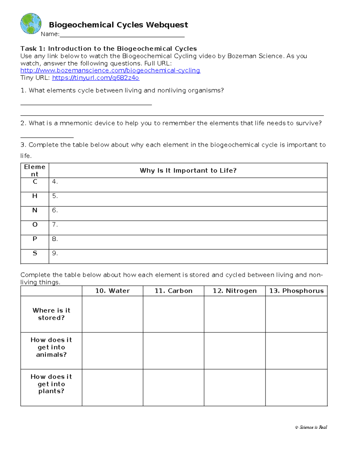 Biogeochemical Cycles Webquest Handout - Biogeochemical Cycles Webquest ...