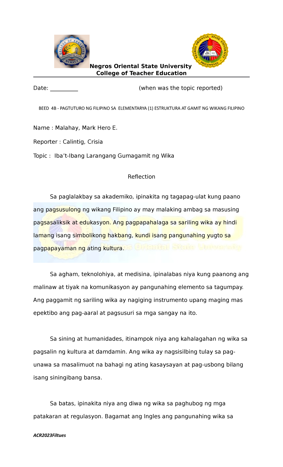 Calintig Reports - Iba’t-Ibang Larangang Gumagamit ng Wika Essay ...