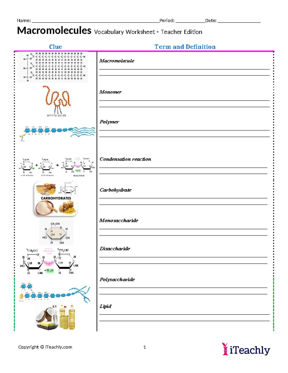 1 7 Vocabulary Worksheet TE Macromolecules - Macromolecules Vocabulary ...