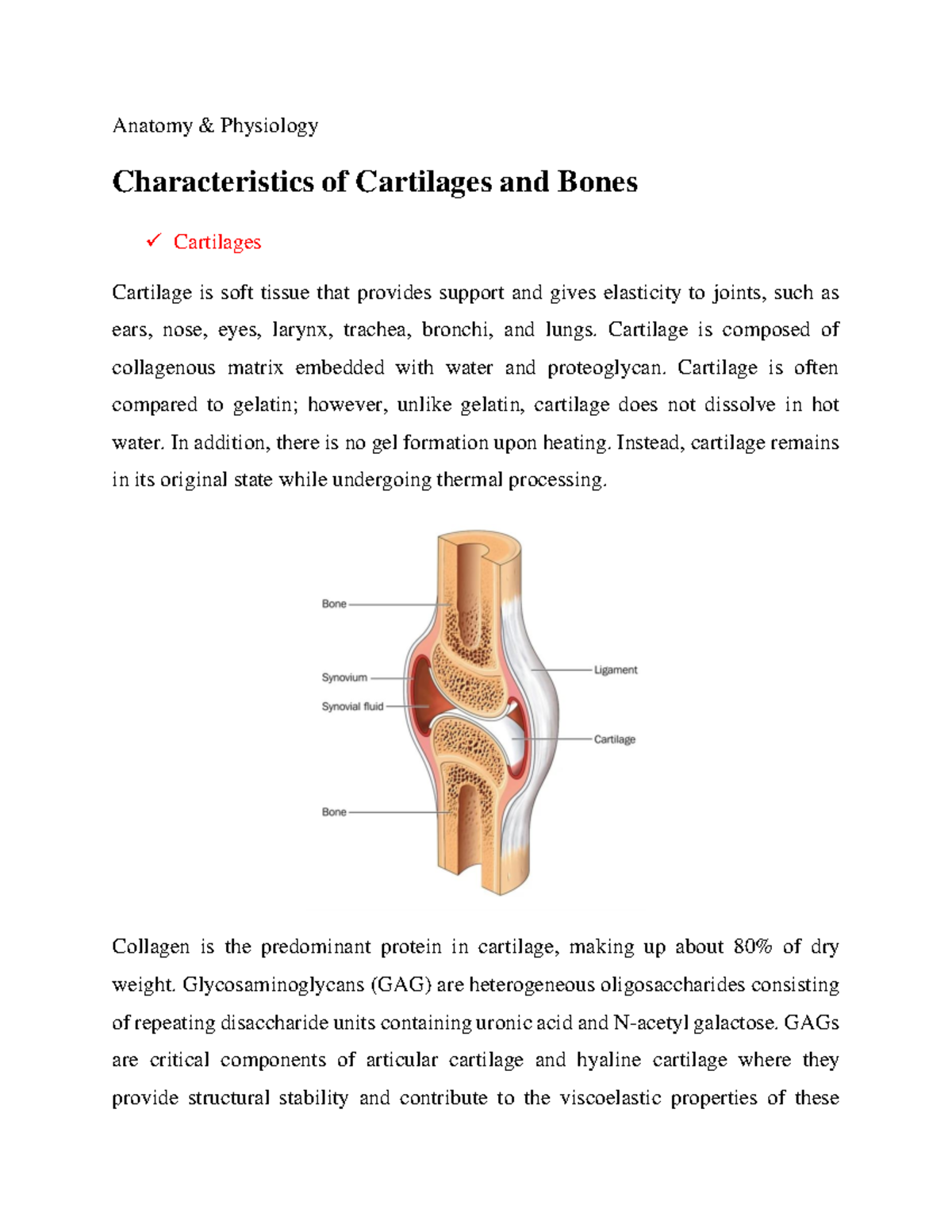Characteristics of Cartilages and Bones - Anatomy & Physiology ...