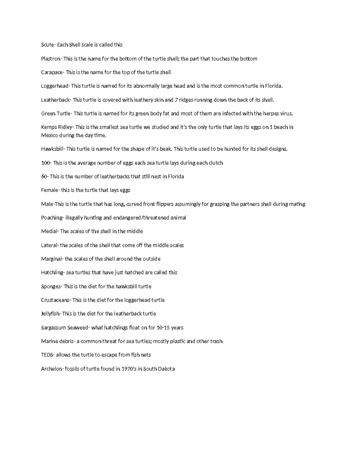 1d Sea Turtle Bingo clues - Scute- Each Shell scale is called this ...