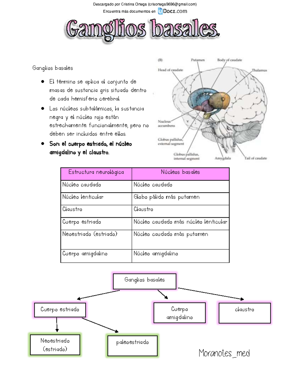 Ganglios basales - Estructura neurológica Núcleos basales Núcleo ...