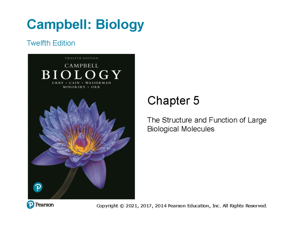 Topic 6a Structure Function Macromolecules Campbell Biology Twelfth Edition Chapter 5 The