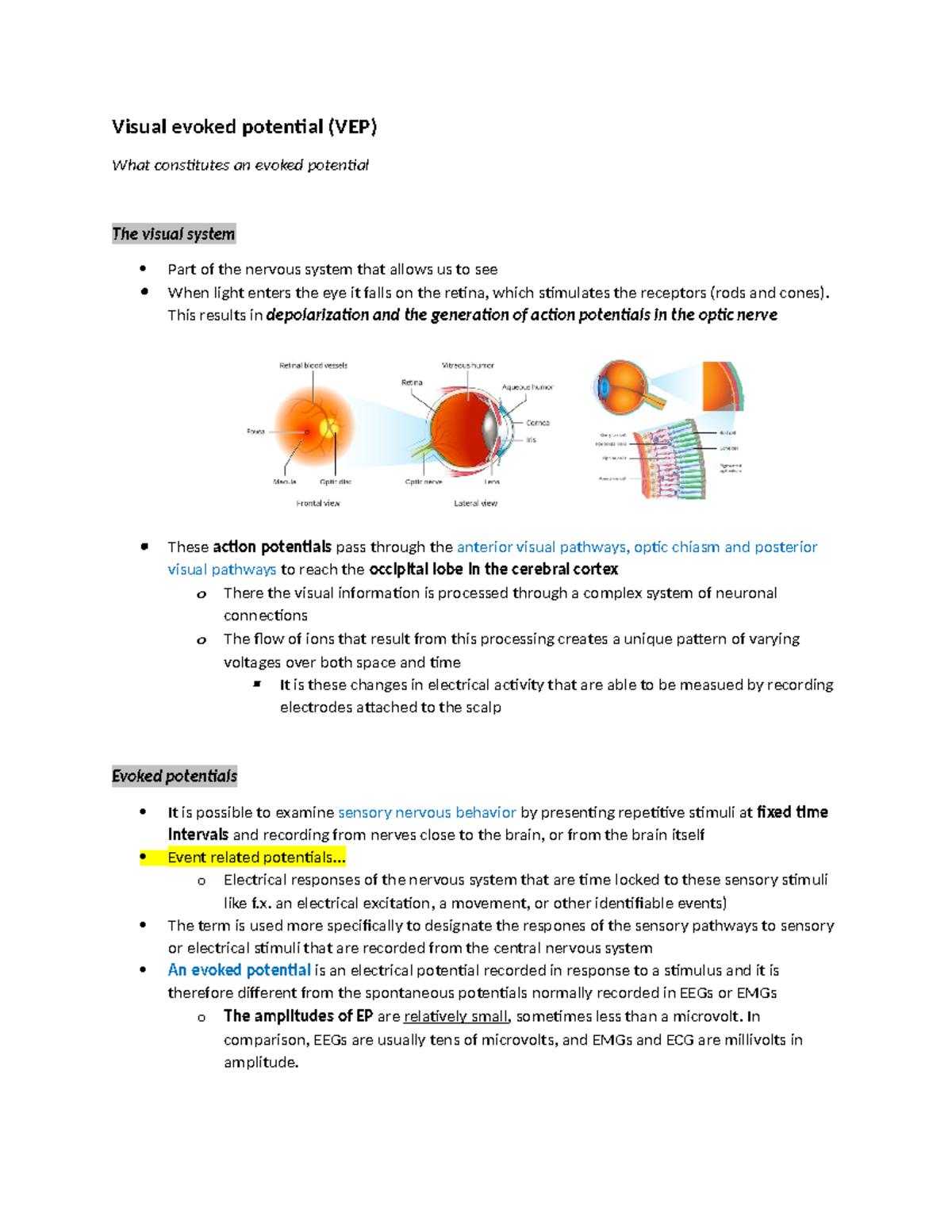 Visual evoked potential - This results in depolarization and the ...